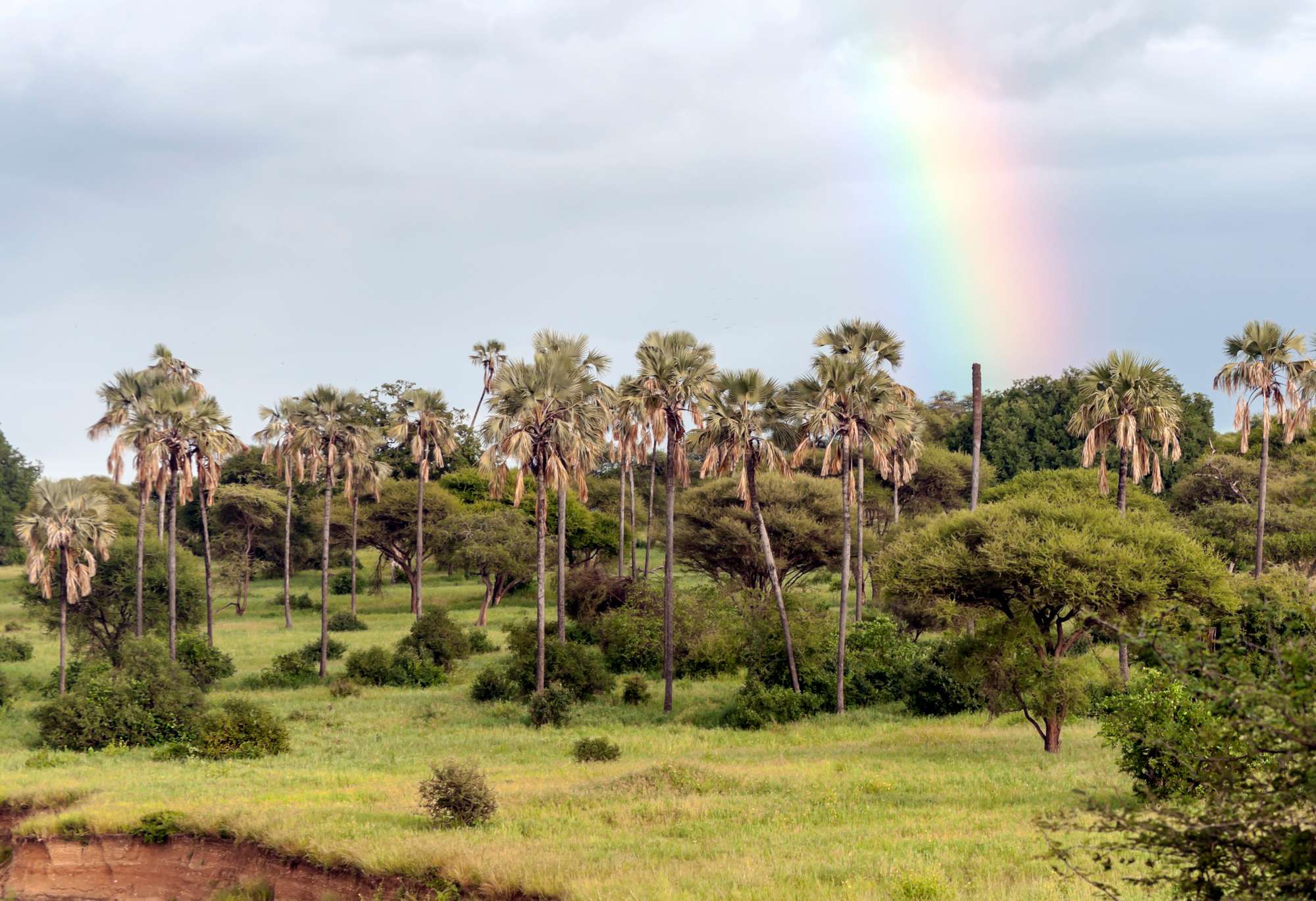 Kenya : Climat et météo au Kenya | Club Med