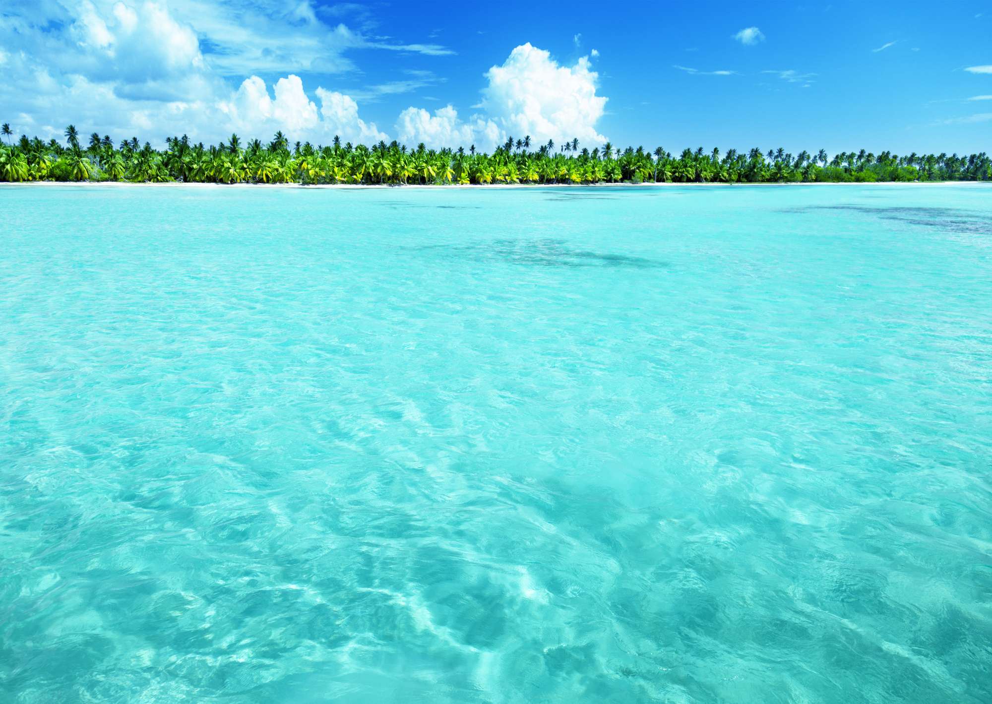 Caraïbes : Les meilleures destinations aux Caraïbes | Club Med