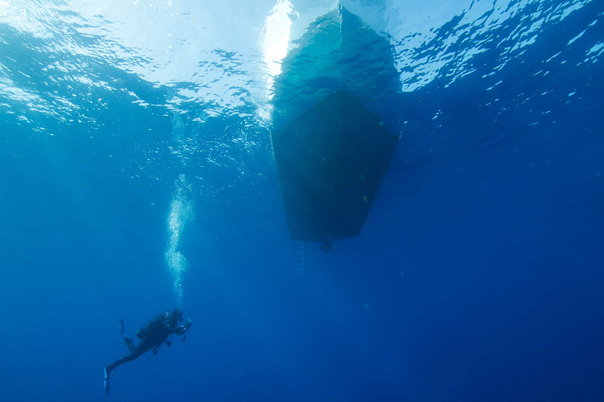 Plongée en Corse : les meilleurs spots de plongée | Club Med