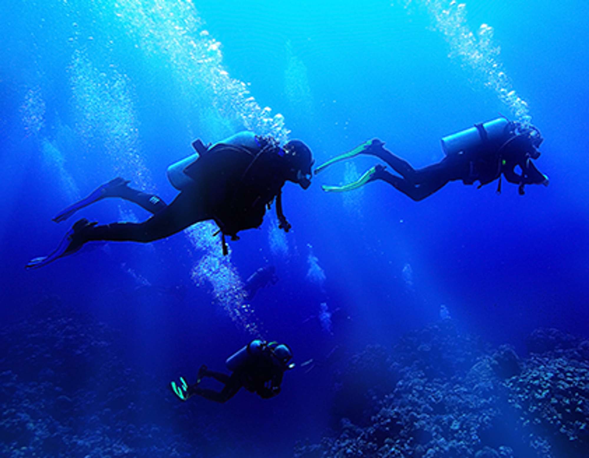 All Inclusive Bahamas Scuba Diving Resorts | Club Med