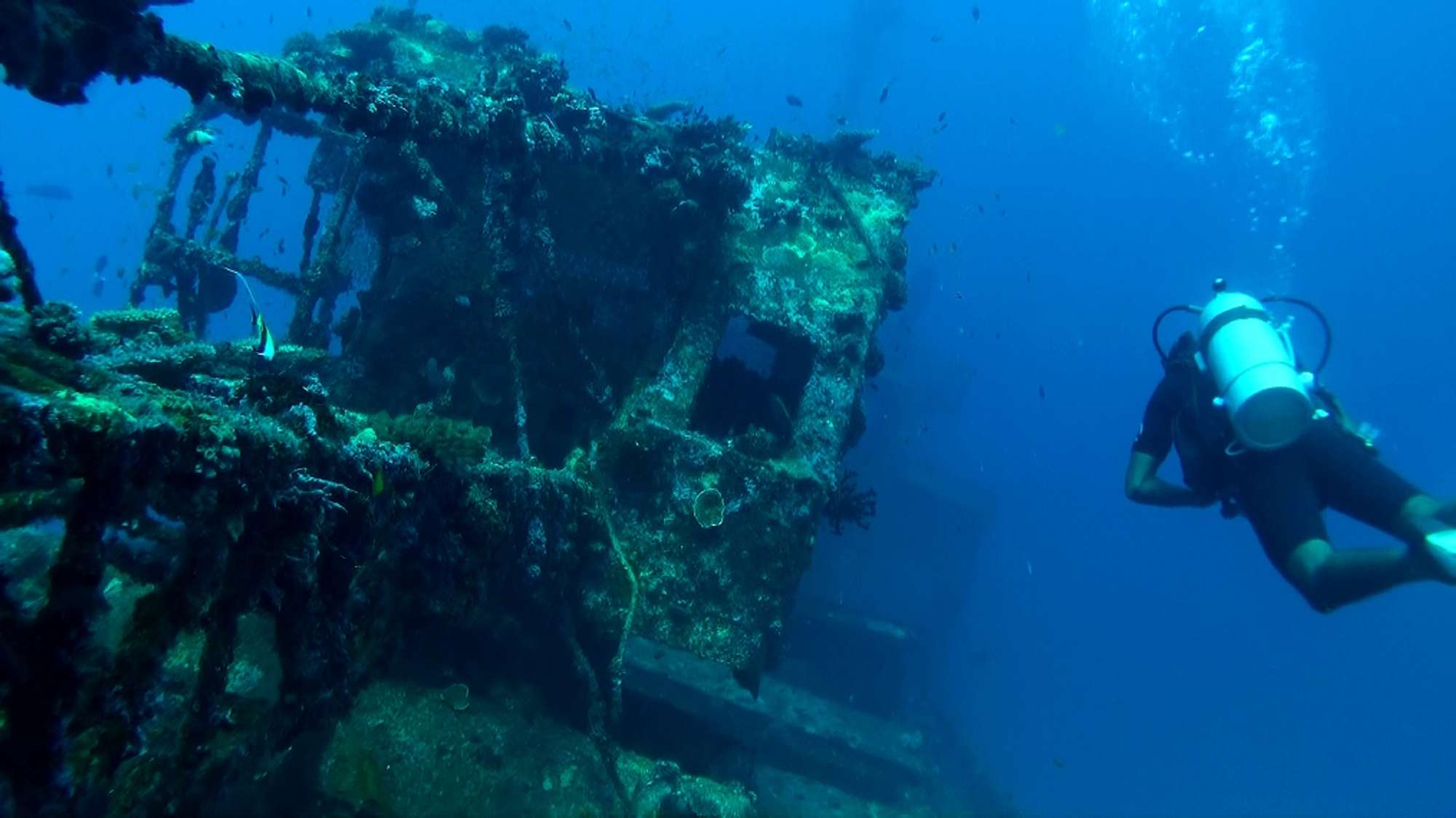 Famous Underwater Wrecks to Explore in The Maldives