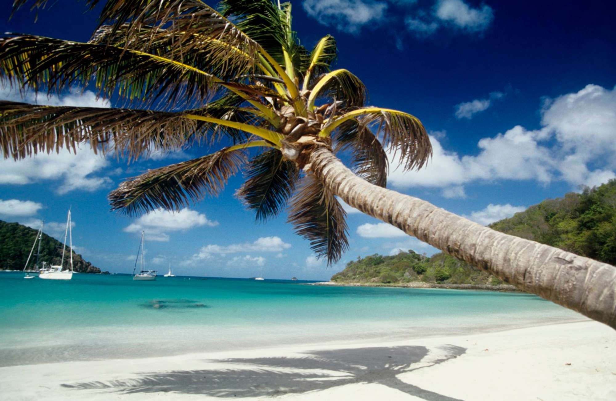 All Inclusive solsemester | Club Med